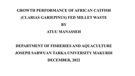 supplementary feeding of African cat fish with maggot.pptx