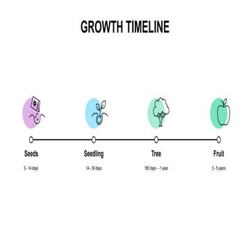 for fun presentation Growth timeline template.pptx