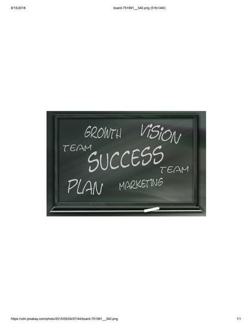 Vision, plan, action, success | PDF
