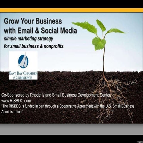 Grow your Business with Email and Social Media | PDF