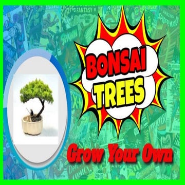 Discover the Art of bonsai tree with Bonsaidubai.com