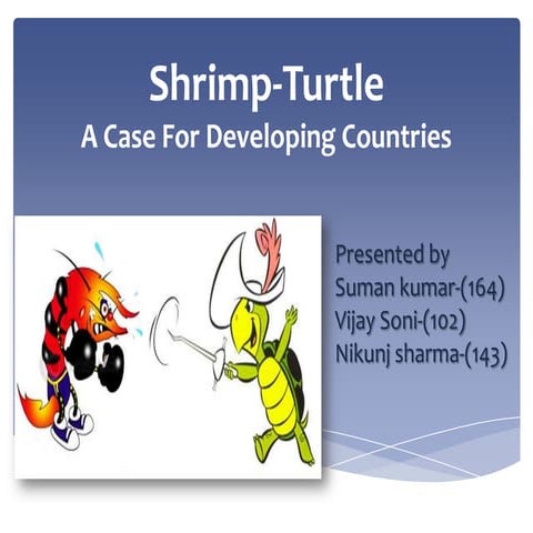 shrimp turtle | PPT