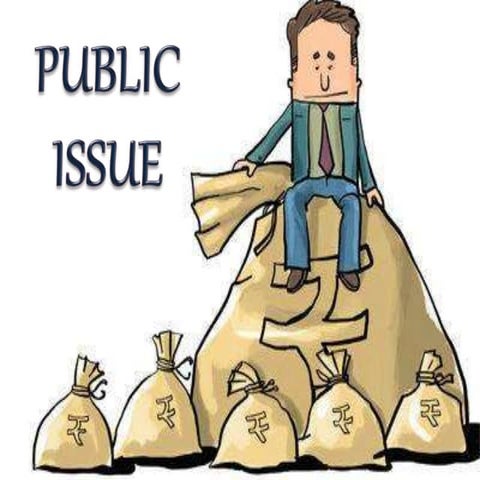 Grp 5 presentation on Public Issue | PPTX