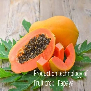GRP PAPAYA cultivation practices b/c ag.pptx
