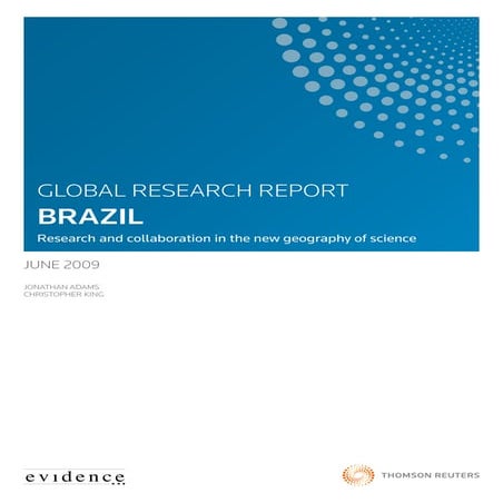 Global Research Report Brazil Jun09 1 | PDF