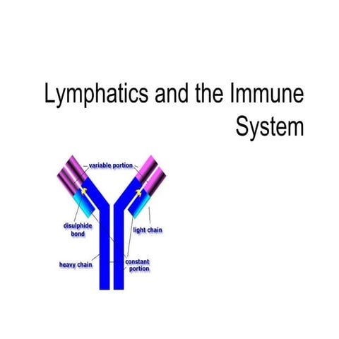The Immune System | PPTX