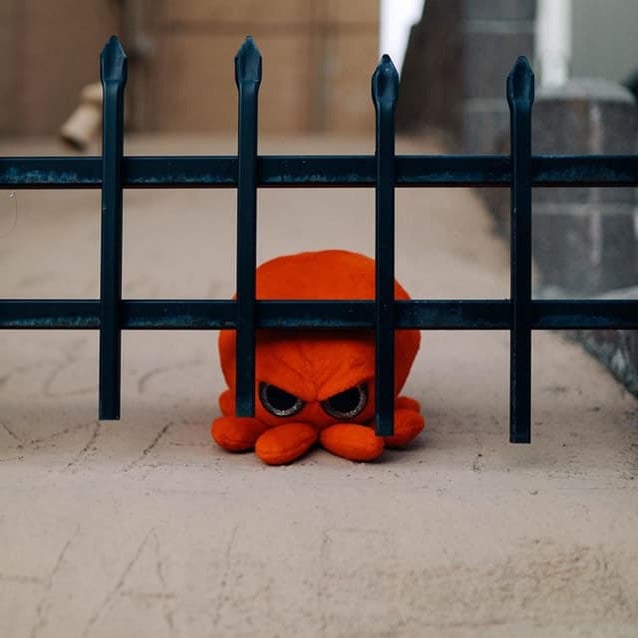 Grumpy Octopus Stuffed Animal | PPT