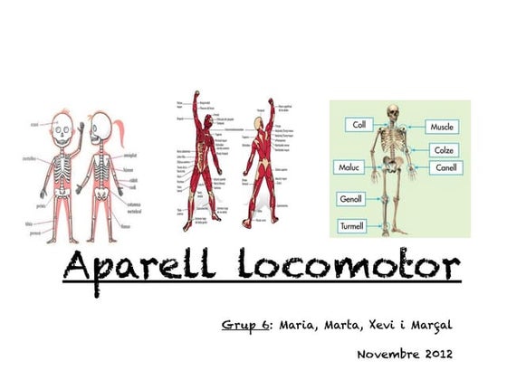 L’aparell locomotor power | PPSX