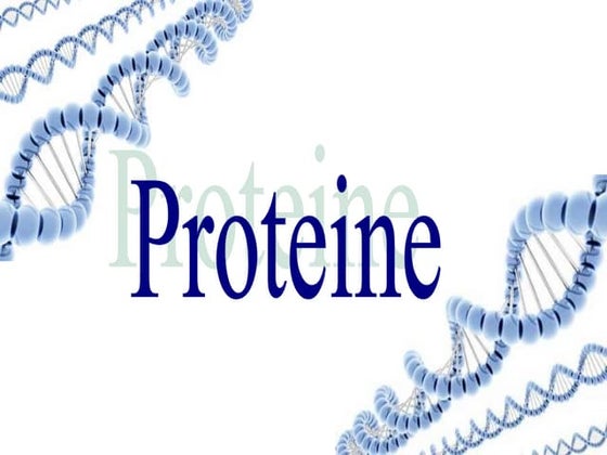 Proteine Ppt | PPT