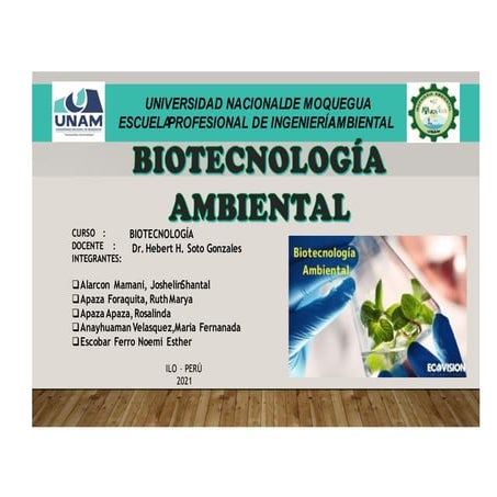 BIOTECNOLOGÍA AMBIENTAL | PDF