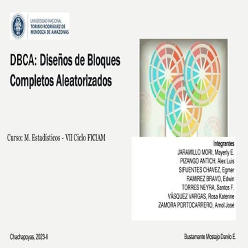 Ejercicio DBCA | PPTX