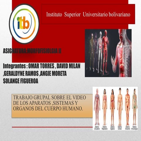 Sistemas del cuerpo humano vista en un video | PPTX