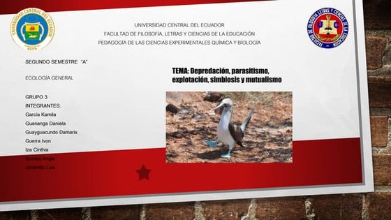 Relaciones ecológicas | PPT