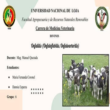 Onfalitis (Onfaloflebitis, Onfaloarteritis) | PDF