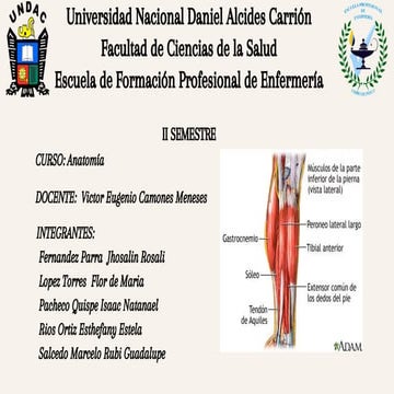 GRUPO6-MUSCULOS POSTERIORES DE LA PIERNA.pdf