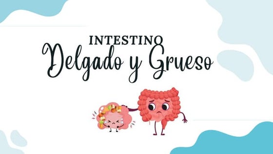 Charla cirugia: Anatomía: Irrigación y drenaje de Colon y Recto | PPT