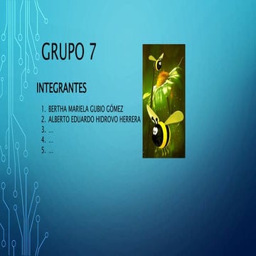 DIAPOSITIVAS DEL PEI.pptx