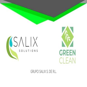 Grupo Salix | PDF