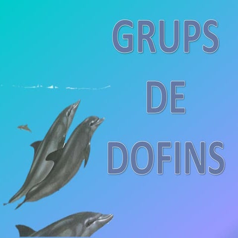 els dofins viuen en grups | PPTX