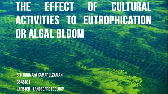 Eutrophication | PPT