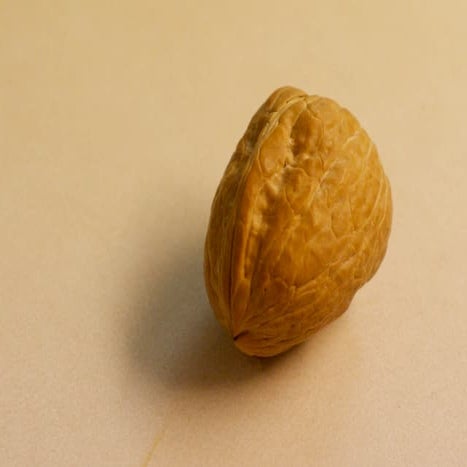 Me in a nutshell | PPT