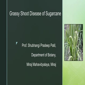 GSD-Grassy Shoot Disease of Sugarcane.pdf