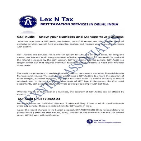 GST Audit | PDF