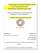 GST RETURN and Tally Internship report.docx