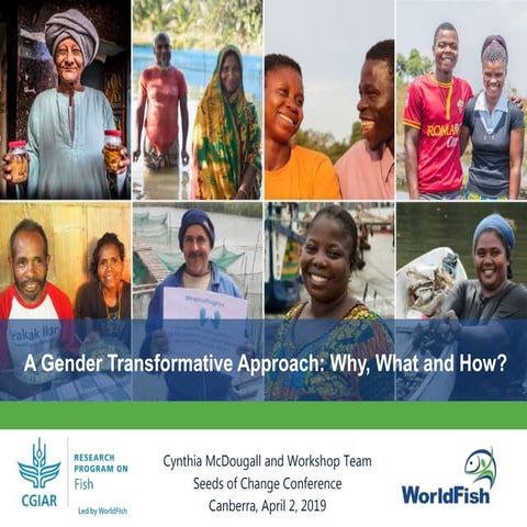 Gender Transformative Approaches: Big ideas | PPTX