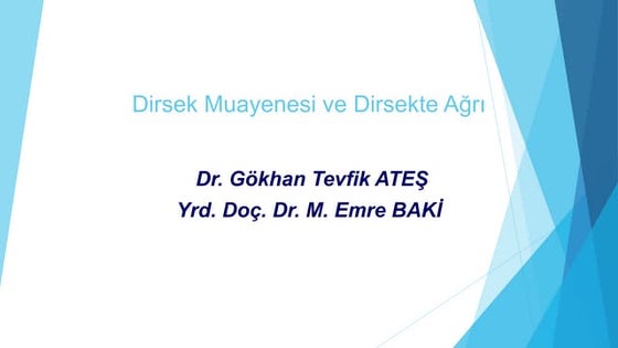 Therasuit Adeli Suit Uzay Terapi Theratogs | PPT