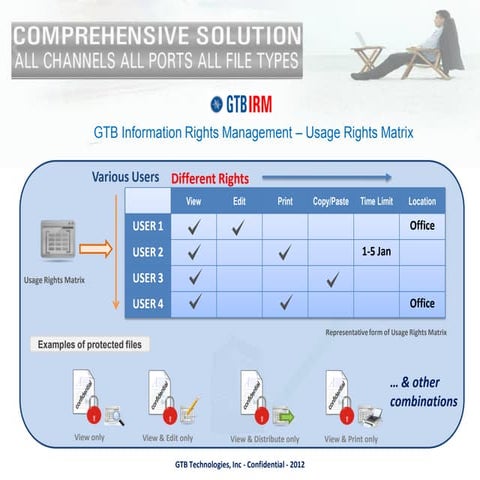 GTB IRM - Usage Rights Matrix | PDF | Technology & Computing