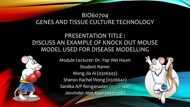 Discuss An Example Of Knockout Mouse Model Used For Disease Modelling