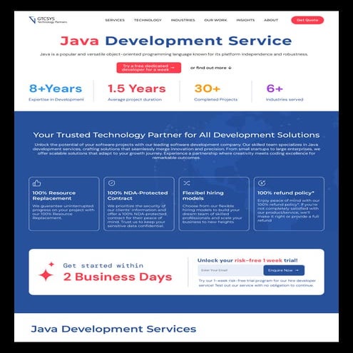 Java Development Services | PDF | Web Development | Internet