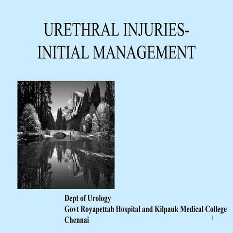 Gu trauma- urethra- initial management | PDF