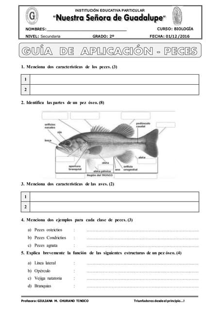 FC Certificate of Employee | PDF