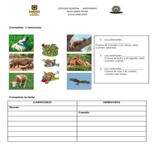 Herbívoros Carnívoros Y Omnívoros