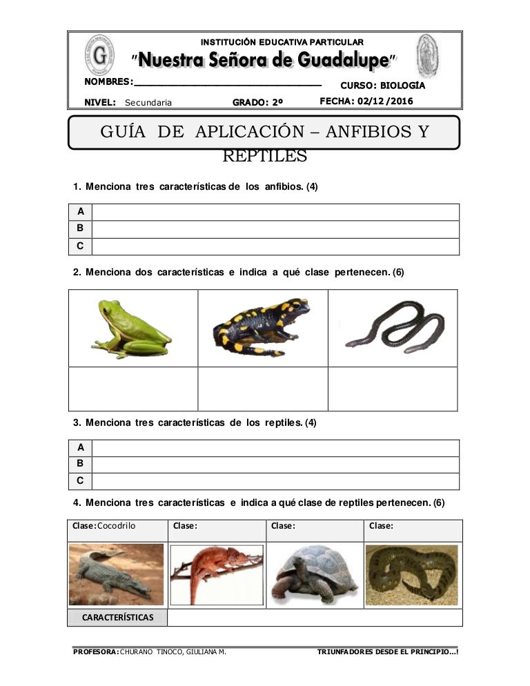 Guía de reptiles y anfibios