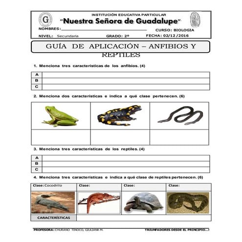 Hoja De Trabajo Sobre Reptiles Y Anfibios Clasificación De Animales: