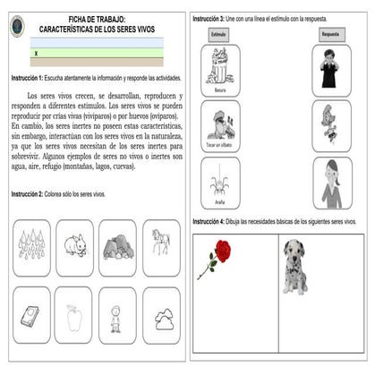 Guía de trabajo seres vivos y materia inerte | DOCX