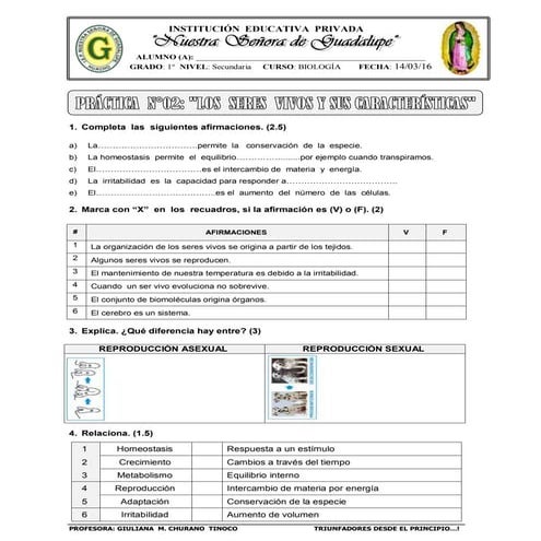 Guía ii los seres vivos y sus características- | PDF