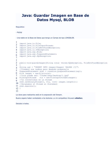 Guardar Imagen En Base De Datos Mysql Blob Ide Netbeans Pdf