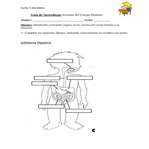 Hojas De Trabajo Sobre Los Sistemas Del Cuerpo Humano Para La Escuela ...