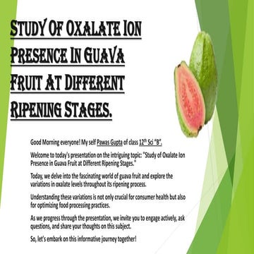 Chemistry Investigatory Project - CBSE Class 12 | PDF