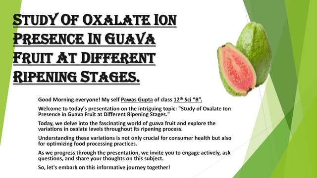 Chemistry Investigatory Project - CBSE Class 12 | PDF