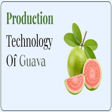 GUAVA cultivation practices b/c ag 3rd yr fruit sc.pptx