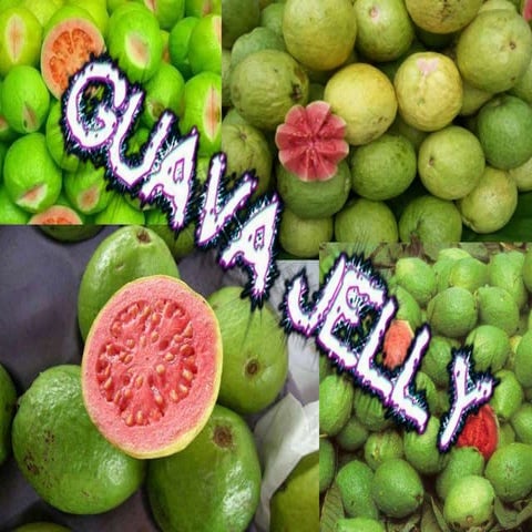 Guava jelly | PPT