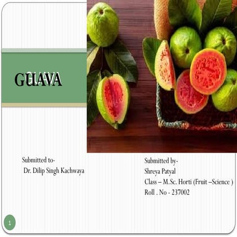 production technology of guava (Sub-tropical fruit crop) | PPTX | Agriculture | Industries