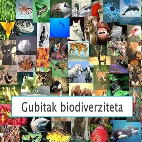 Gradja biljaka | PPTX