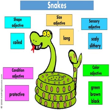Sensory,shape, size, condition, and color adjectives used to describe ...