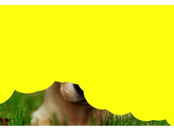 Match and color activity | PDF